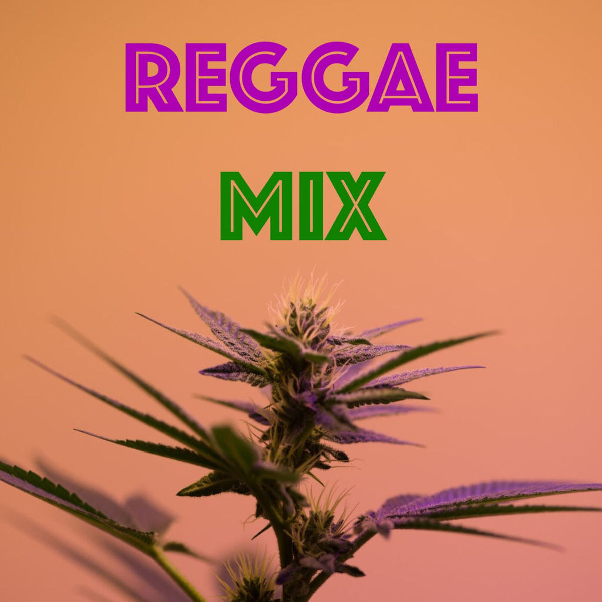 Reggae Mix - Verschiedene Interpreten (Album) | RTL+