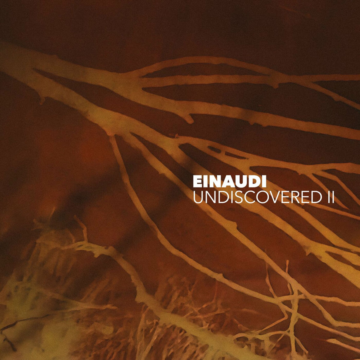 Undiscovered Vol.2 - Ludovico Einaudi (Album) | RTL+