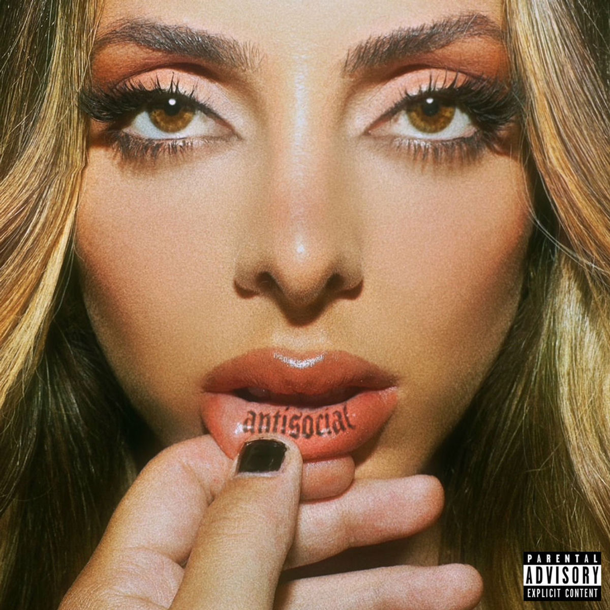 Antisocial - Corina Smith (Album) | RTL+