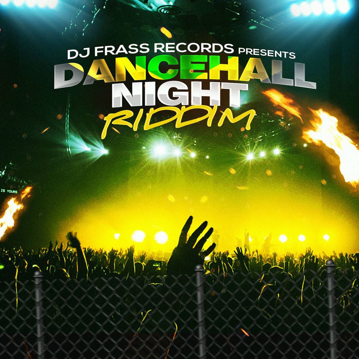 Dancehall Night Riddim - DJ Frass (Album) | RTL+