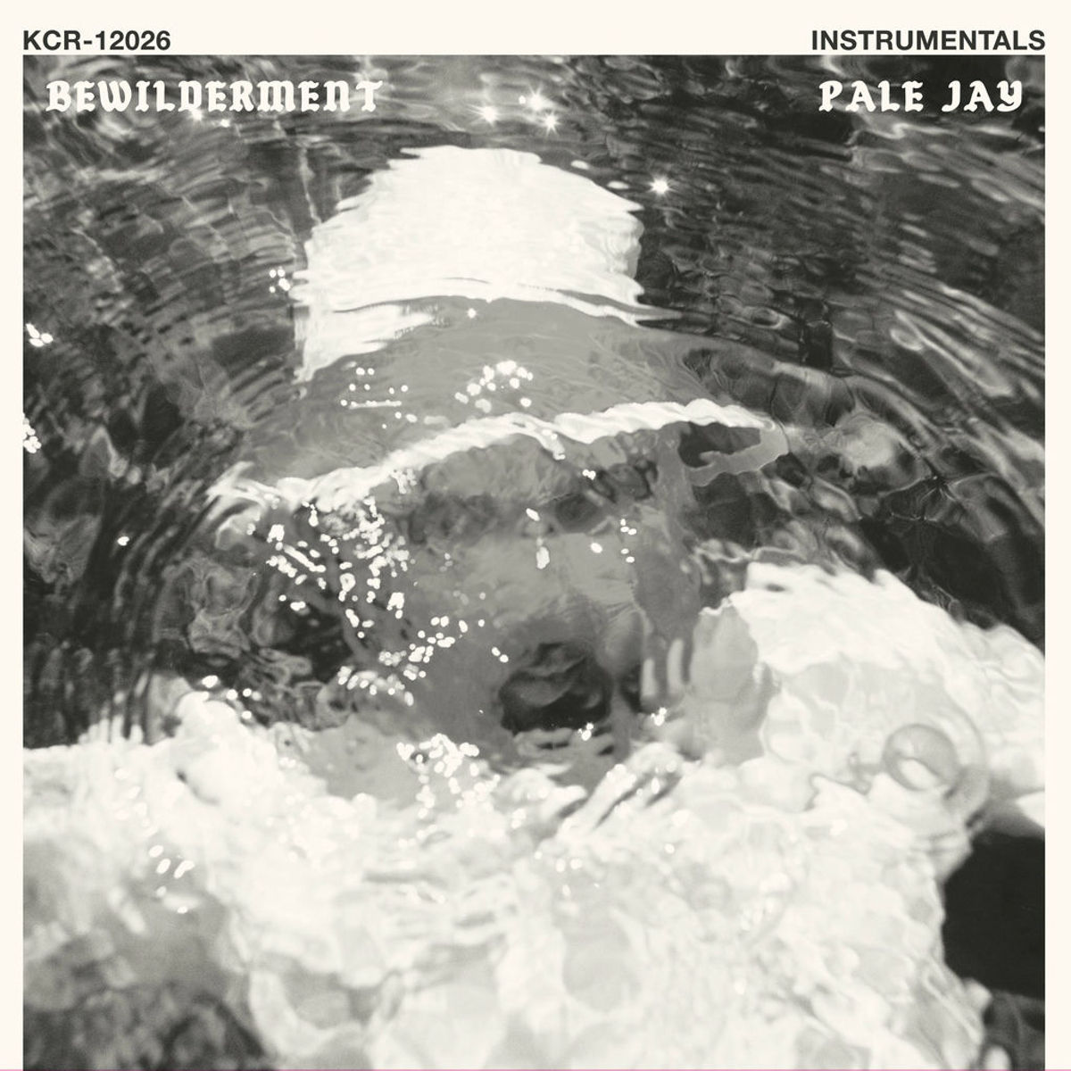 Bewilderment (Instrumentals) - Pale Jay (Album) | RTL+
