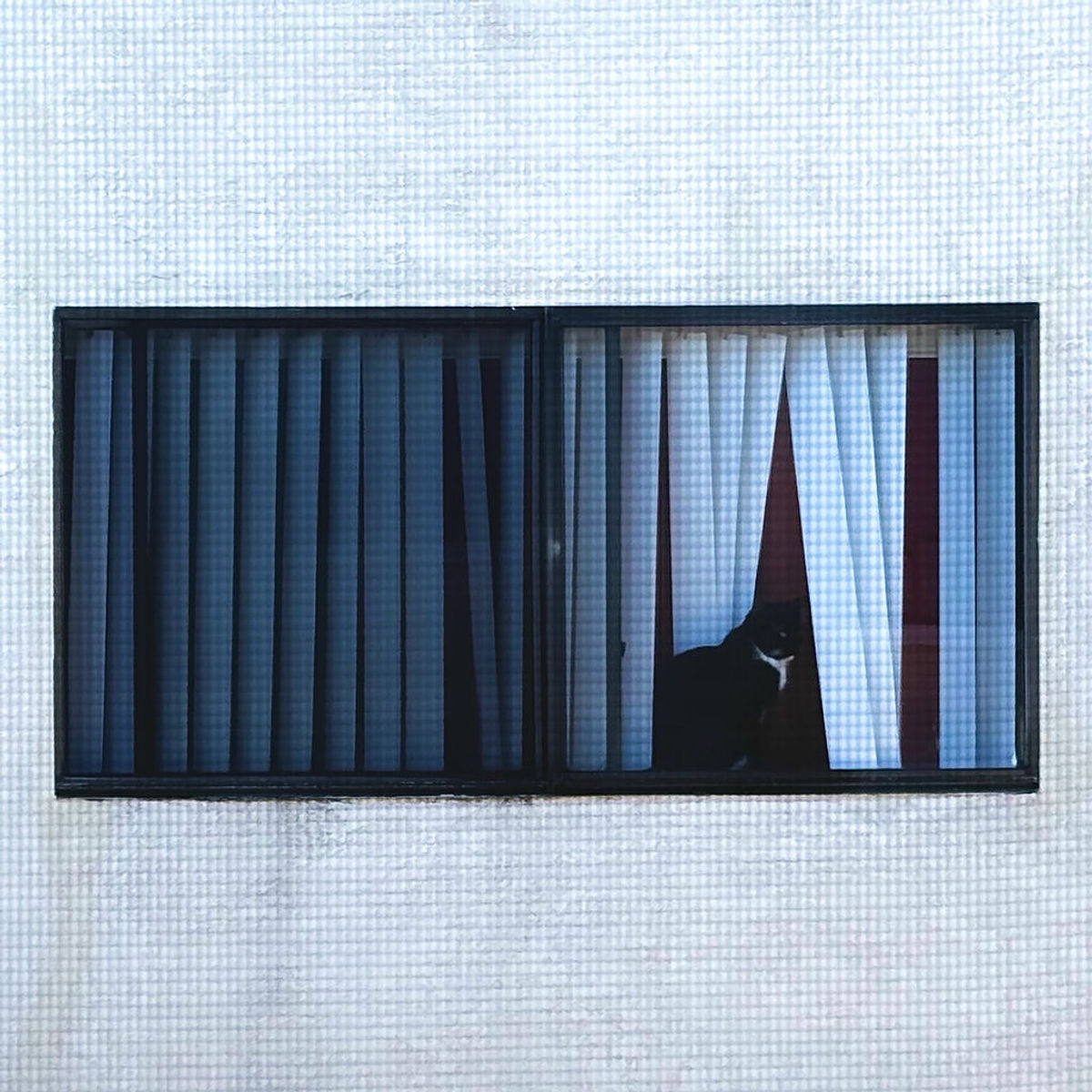 I Created The Universe So That Life Could Create a Language So Complex ...