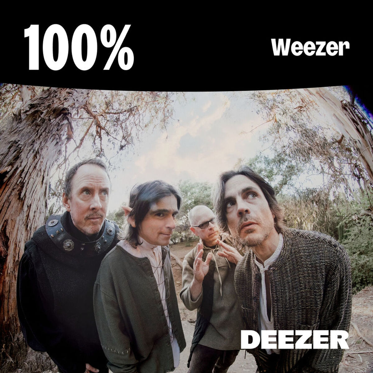 100% Weezer Playlist | RTL+