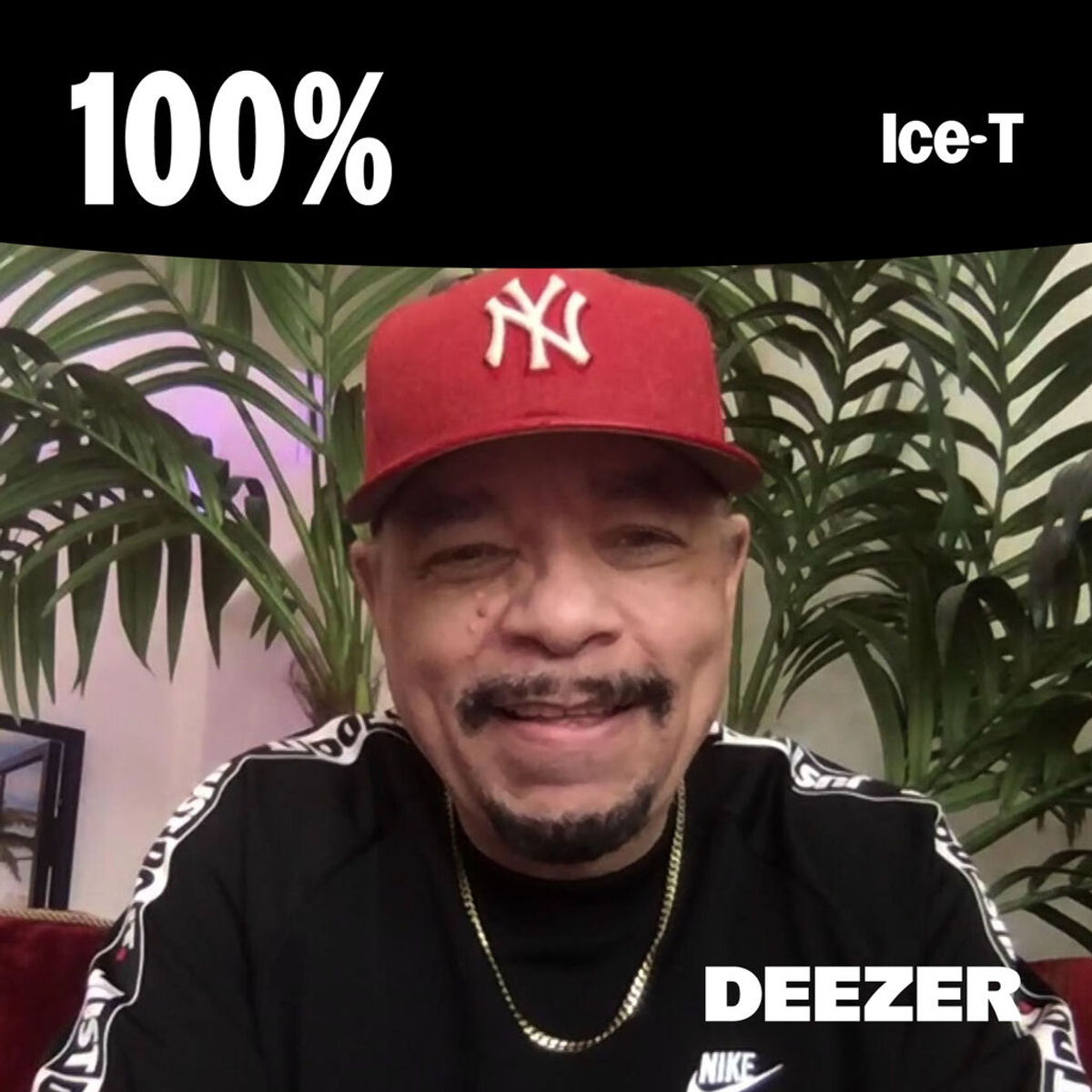 100% Ice-T Playlist | RTL+
