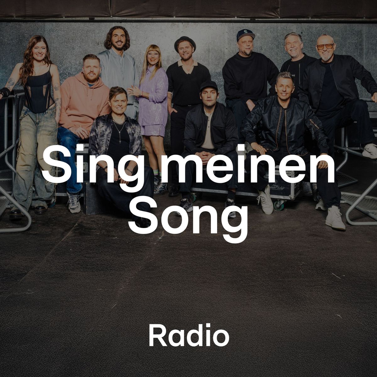 Sing meinen Song