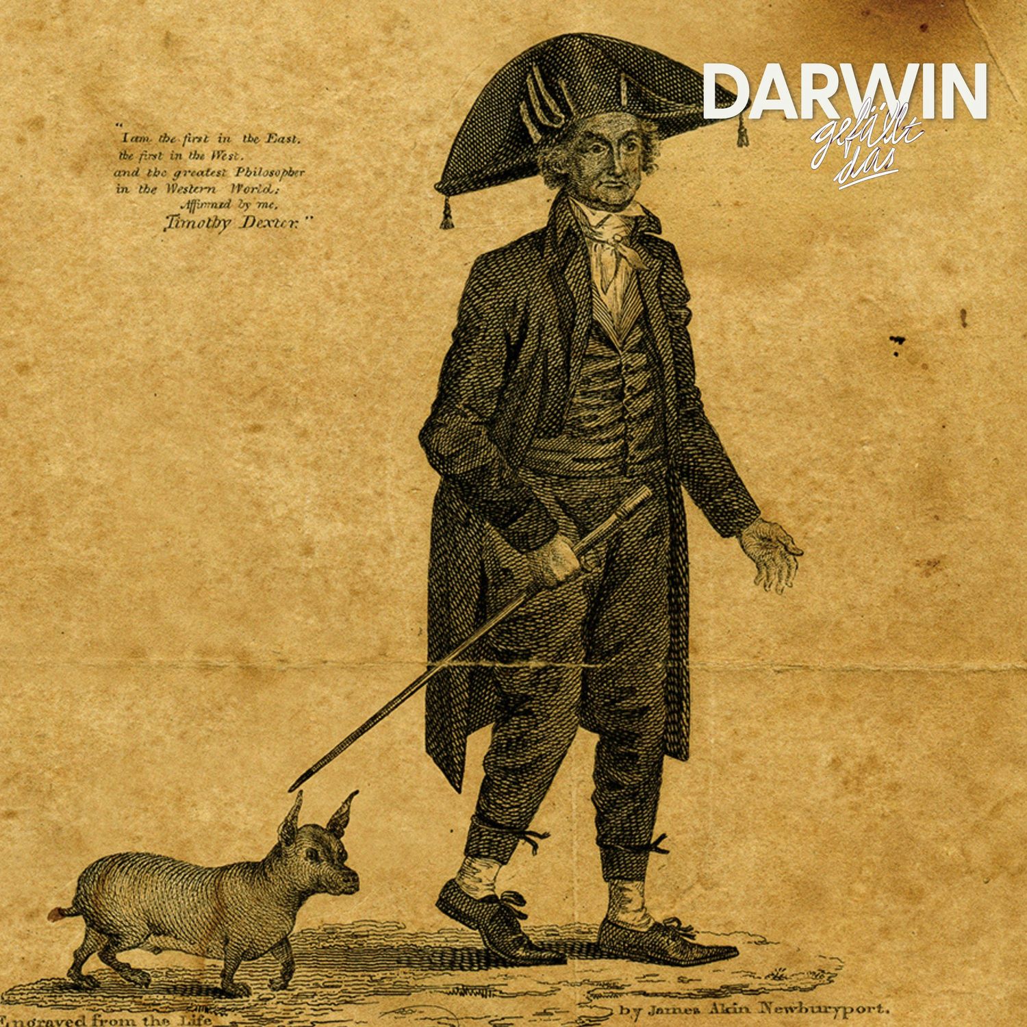 Der dümmste Glückspilz aller Zeiten | DGD Classics - Darwin gefällt das ...