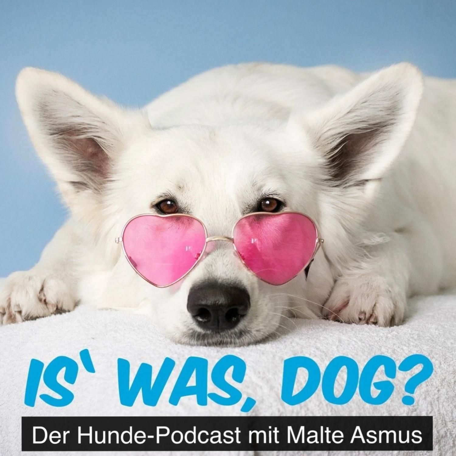 Is' was, dog? - neue Folge | RTL+