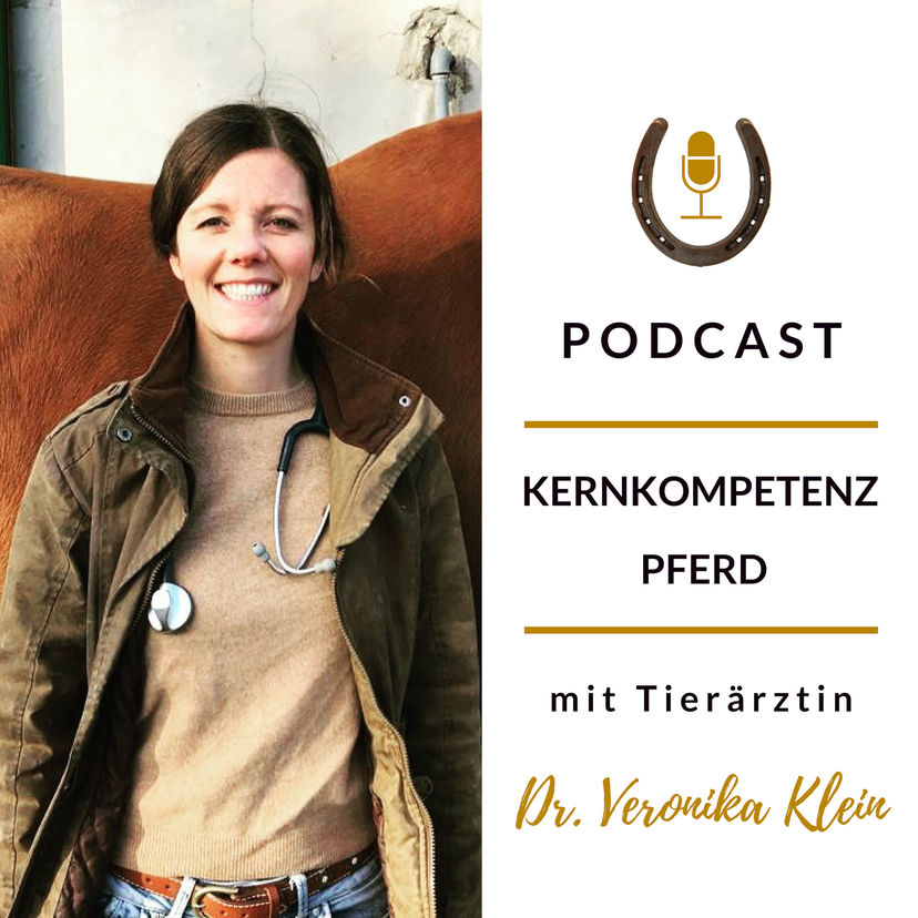 Kernkompetenz Pferd - Pferdegesundheit mit Tierärztin Dr. Veronika Klein - neue Folge | RTL+
