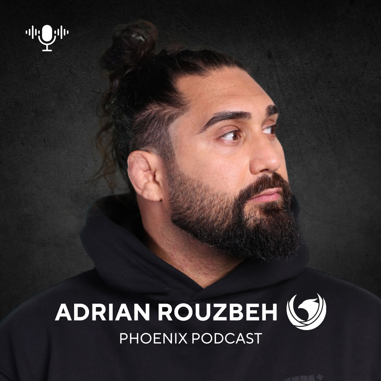 PHOENIX PODCAST mit Adrian - Psychologie, Erfolg, Inneres Kind, Heilung ...
