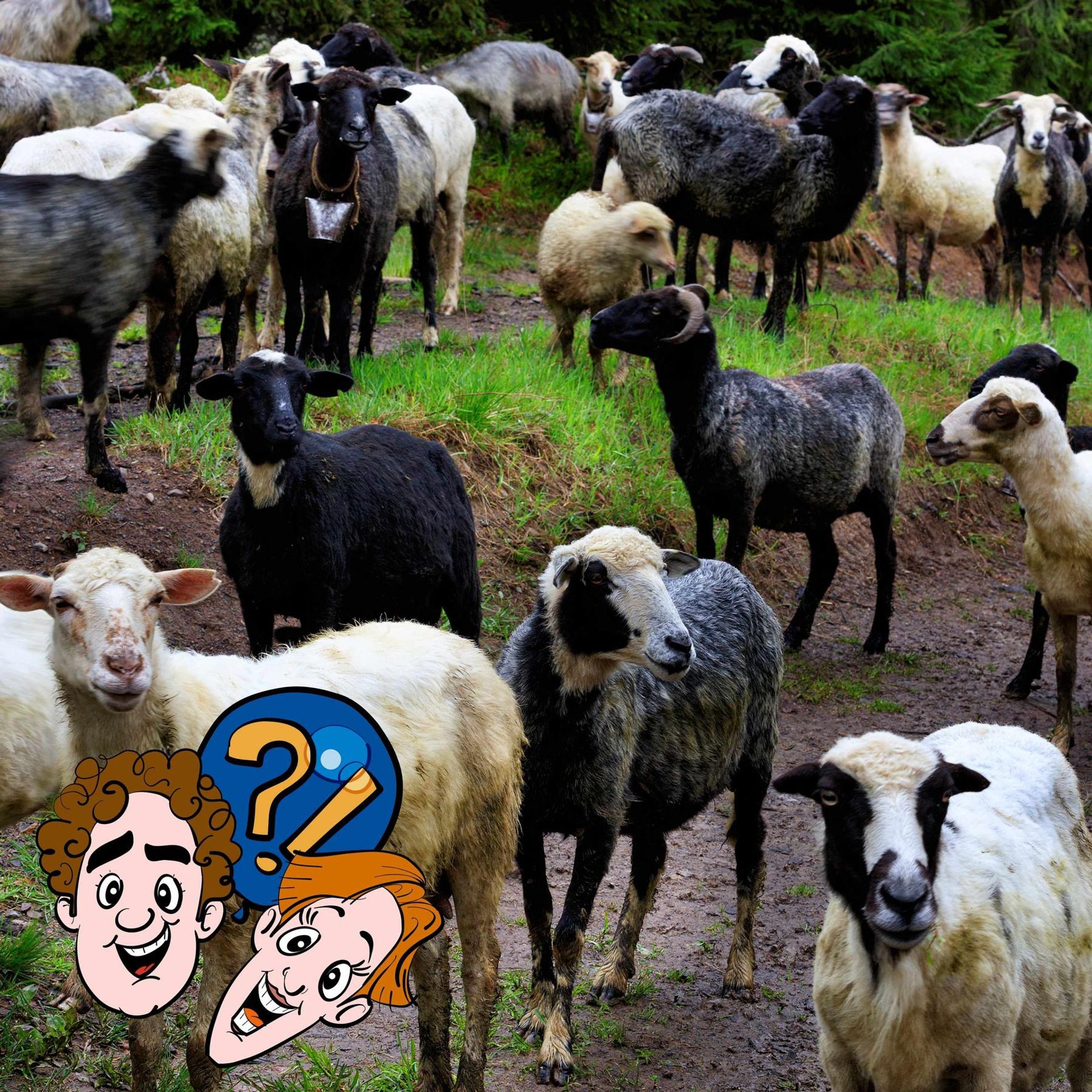 Lachlabor - Lustiges Wissen für Kinder zum Miträtseln - Podcast | RTL+